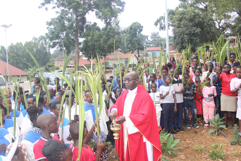 Home Masaka Diocese